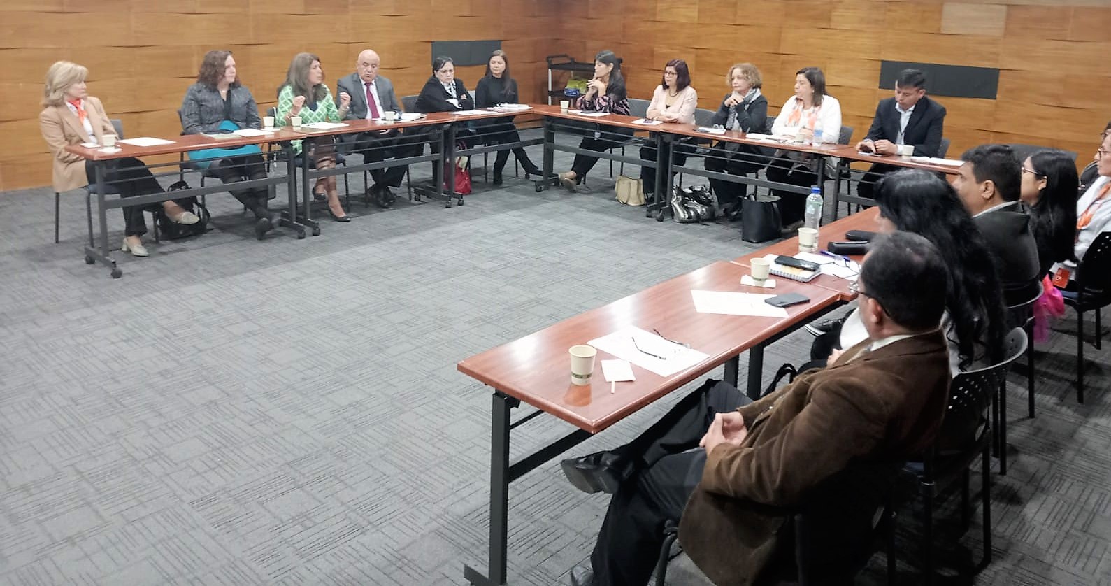 Nuevo directorio nacional de ISSUP Perú 2024 – 2025 – Facultad de ...